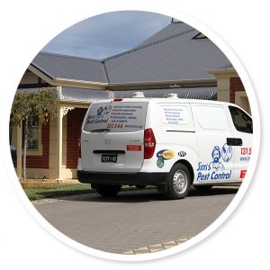 Residential pest control Darwin - Jim's Termite & Pest Control 131 546